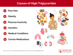 High Triglycerides: Causes, Risks, and Management
